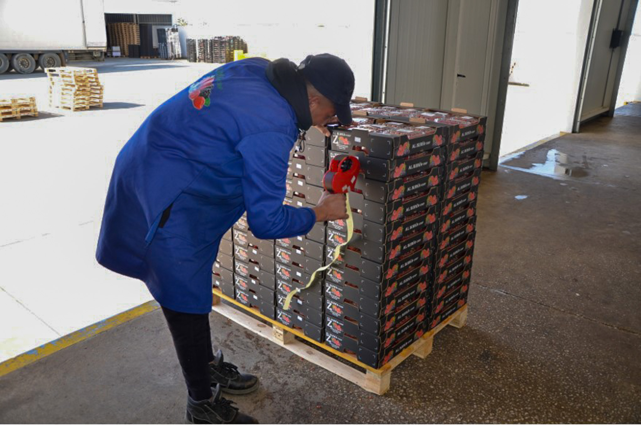 About Us - Alikhwa-Coop