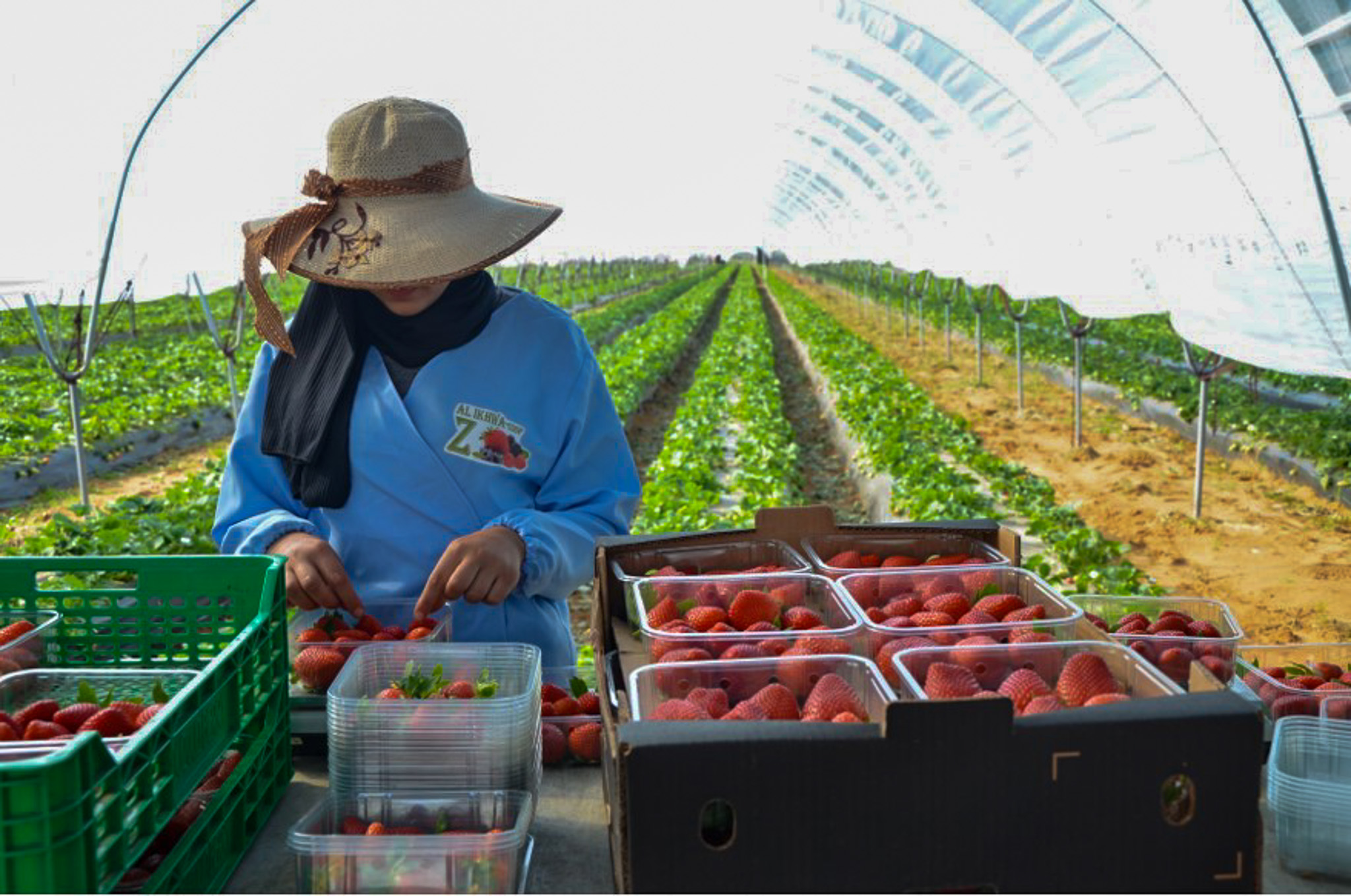 About Us - Alikhwa-Coop